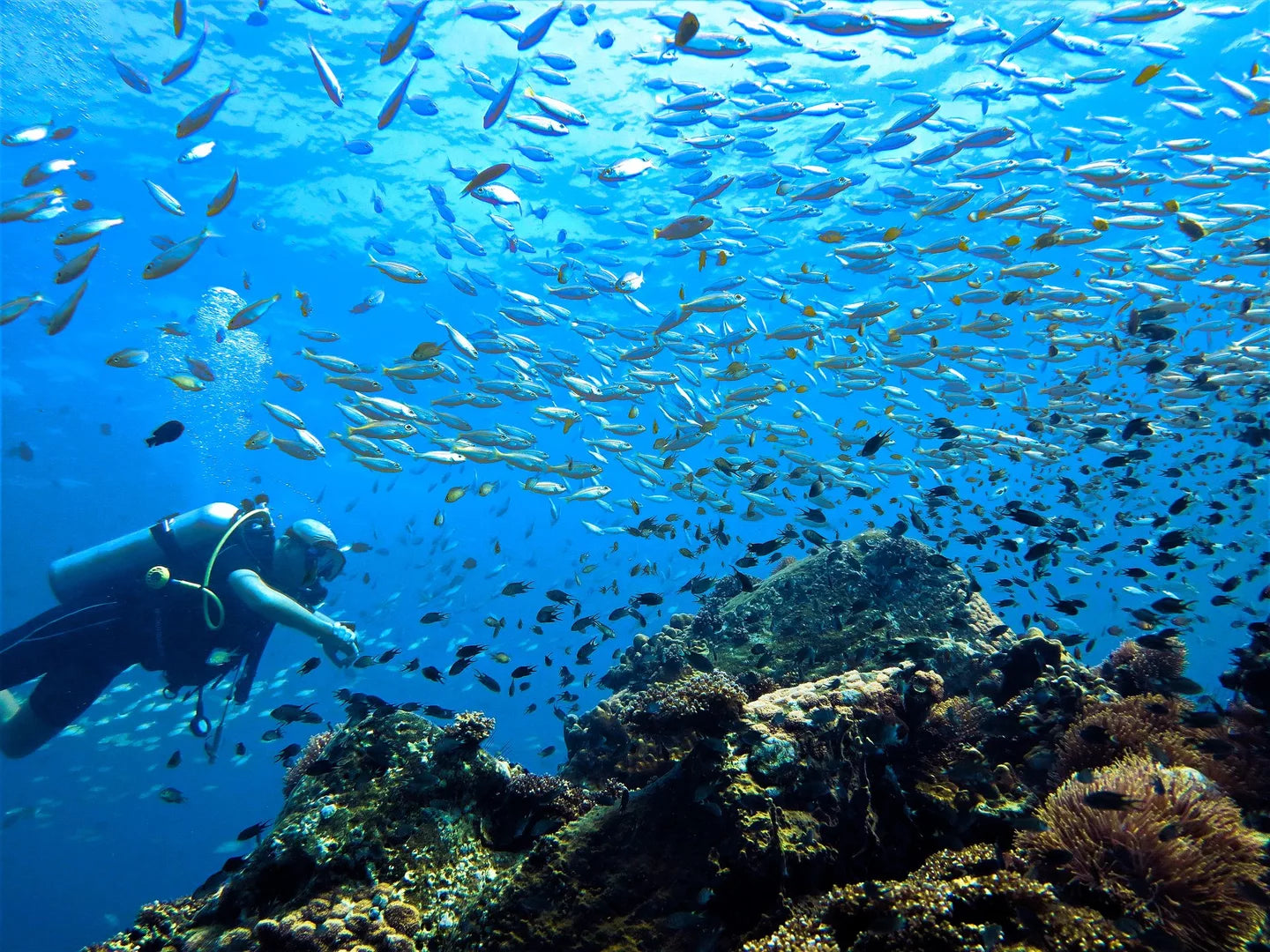 PADI Scuba Diving - Beach in Phuket - Villoft